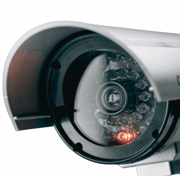 License Plate Recognition | TEKWave Solutions