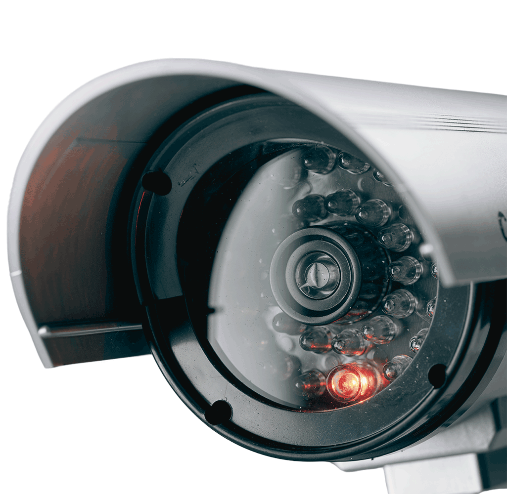 License Plate Recognition | TEKWave Solutions